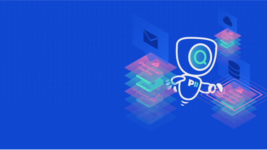 Data Discovery Solution for Healthcare | PII Tools